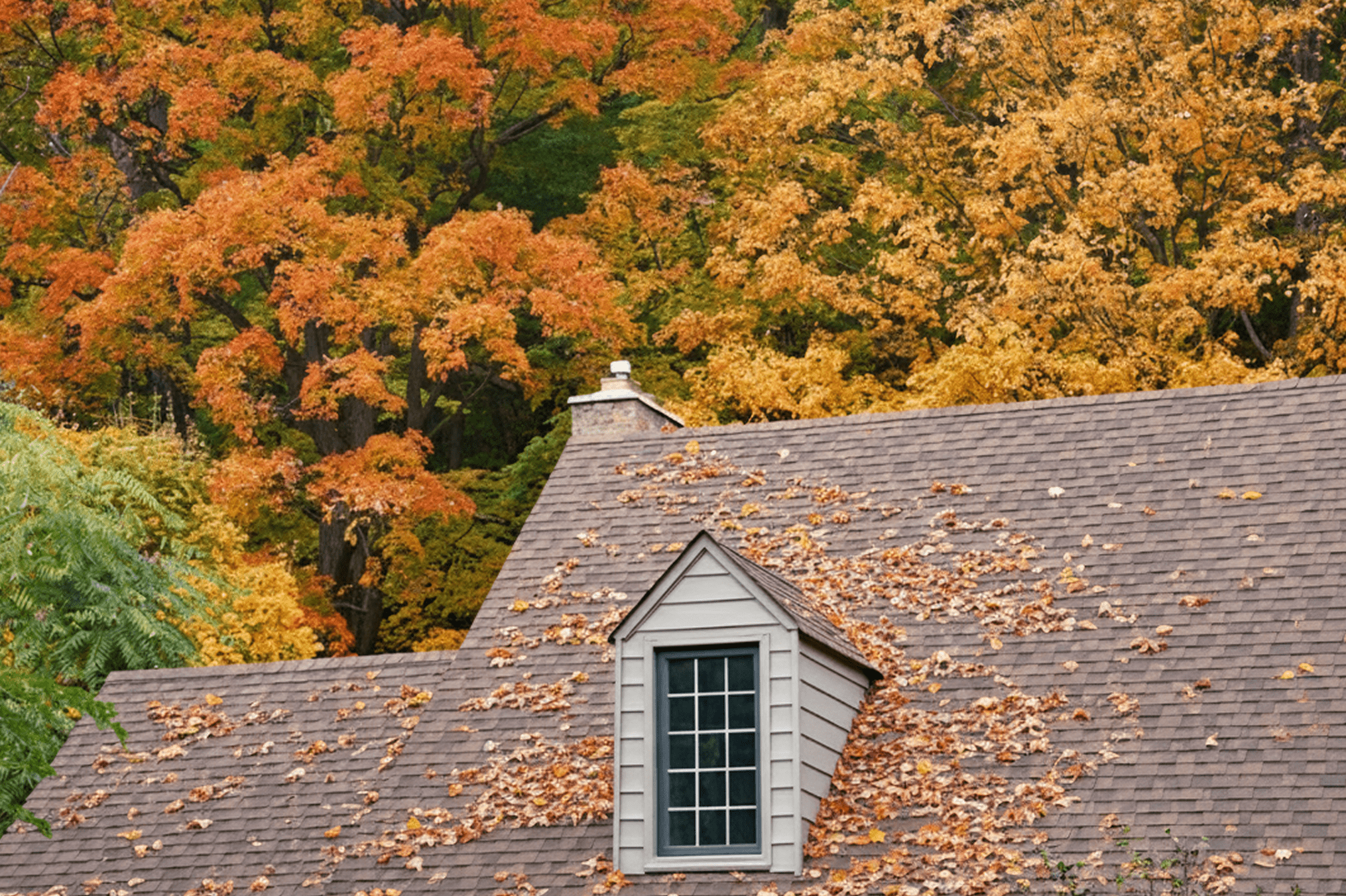 Fall Roof Checklist for Fargo-Moorhead Residents - How to Prepare for ...